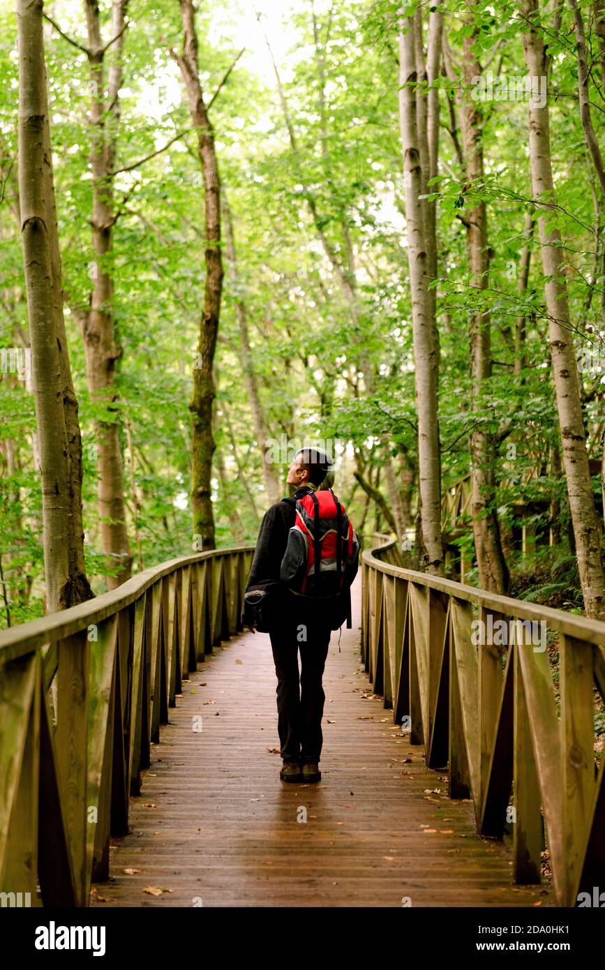 Back view of relaxed tourist standing on bridge and enjoying landscape ...