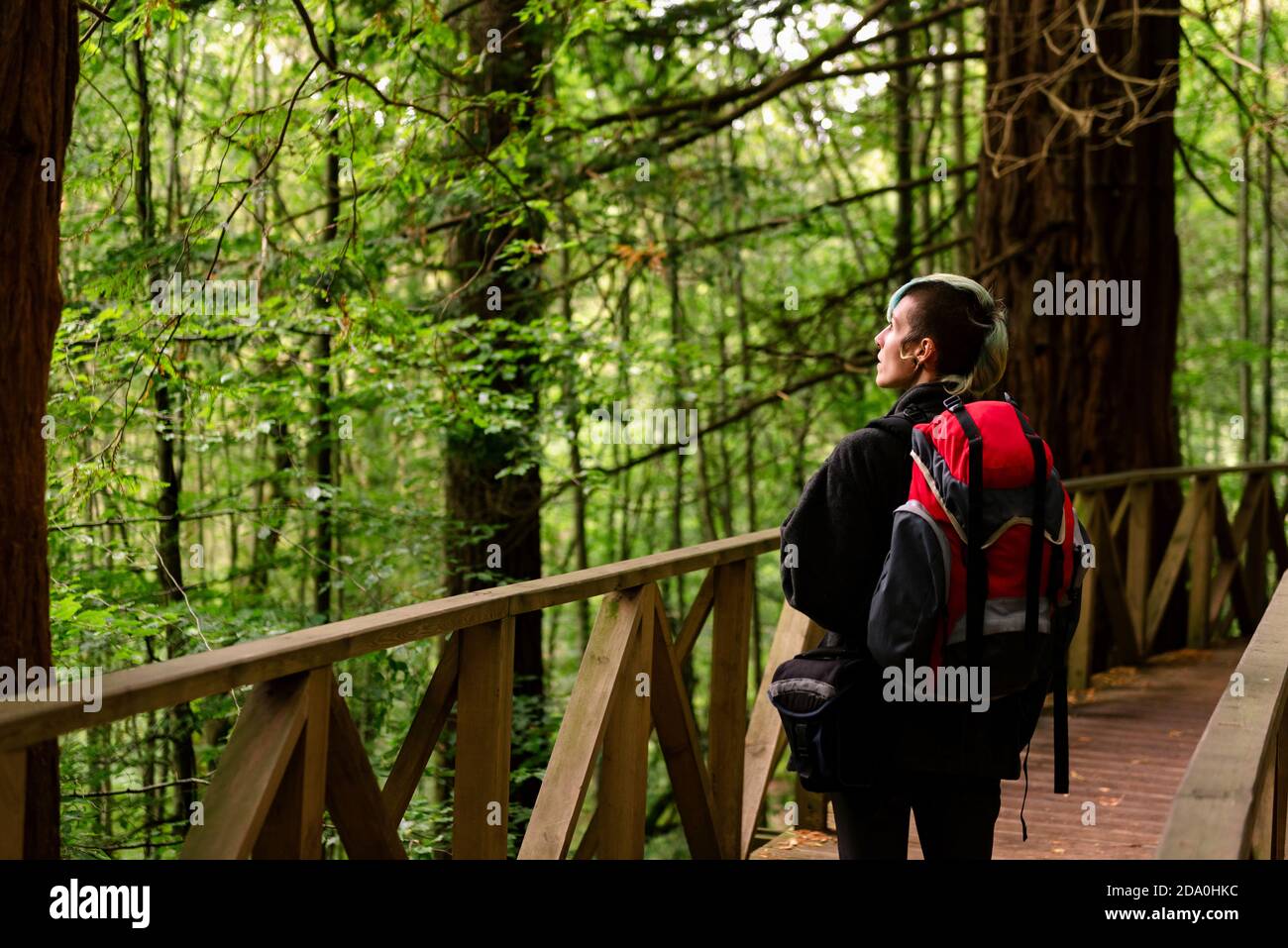 Back view of relaxed tourist standing on bridge and enjoying landscape ...