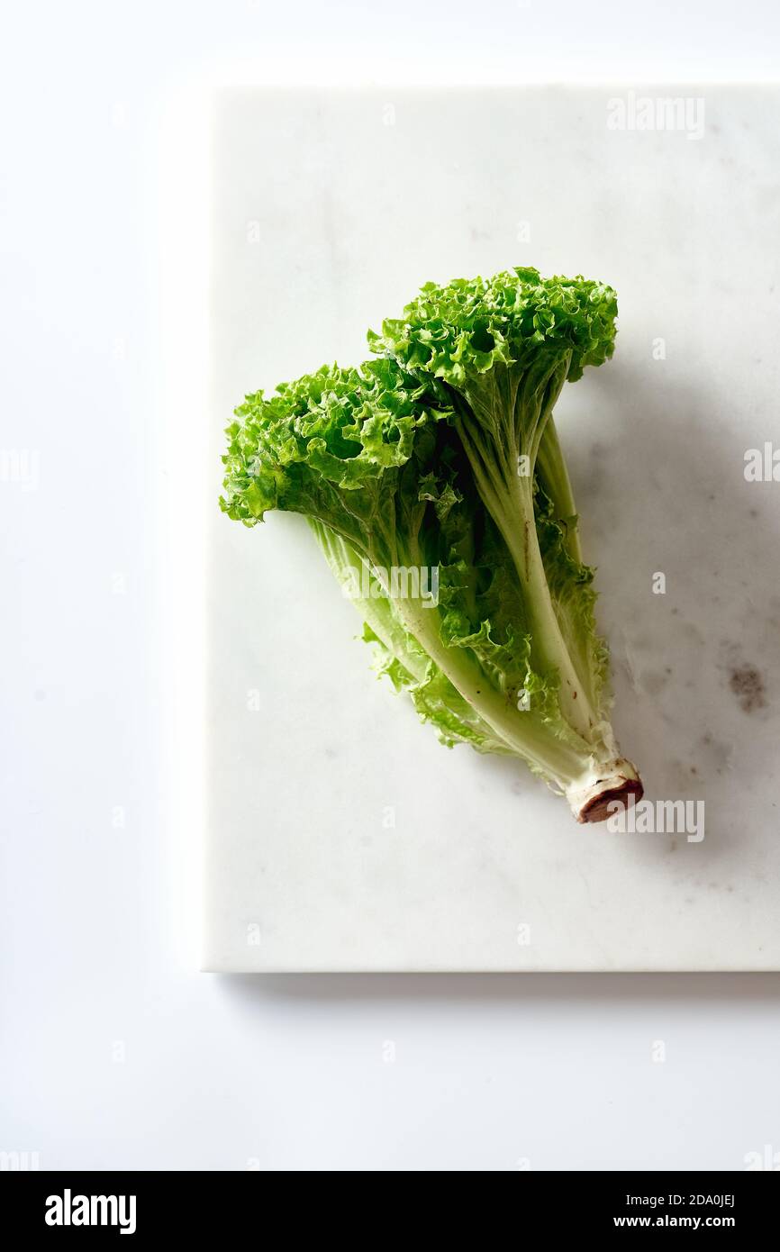 Lollo bionda lettuce hi-res stock photography and images - Alamy