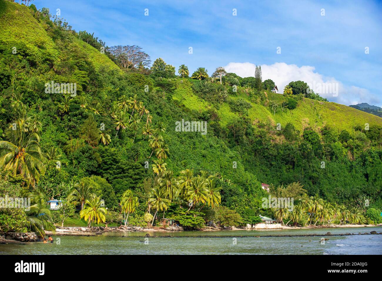 Fautaua Valley. Les Rivières de Tahiti. Fauoro river in Teahupoo ...