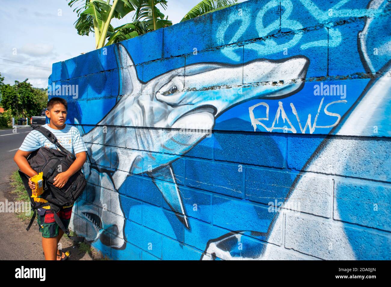 Colorful shark graffiti in the Papeete city centre. Tahiti, French ...