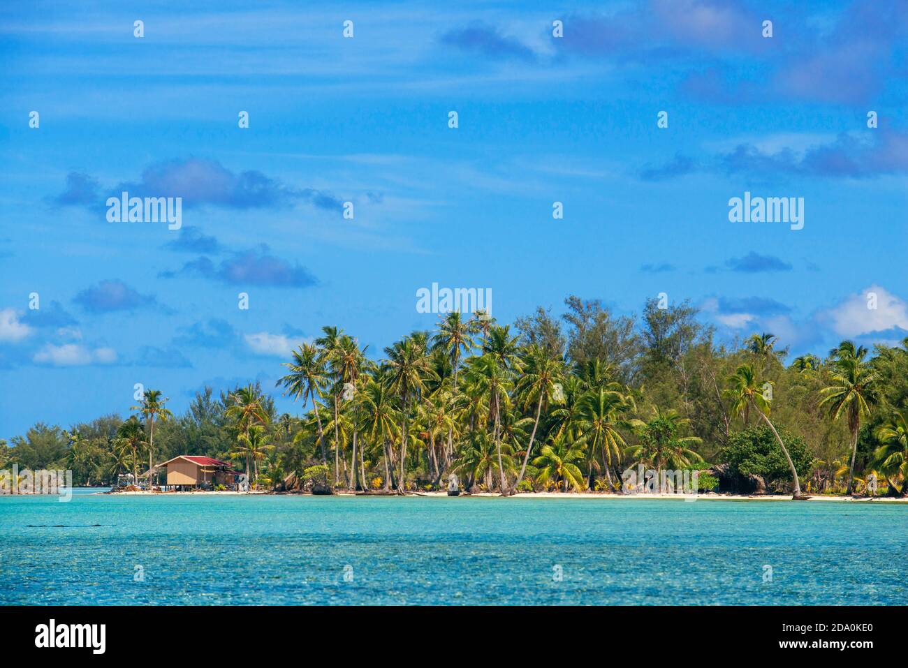 Tropical paradise seascape Taha'a island landscape, French Polynesia ...
