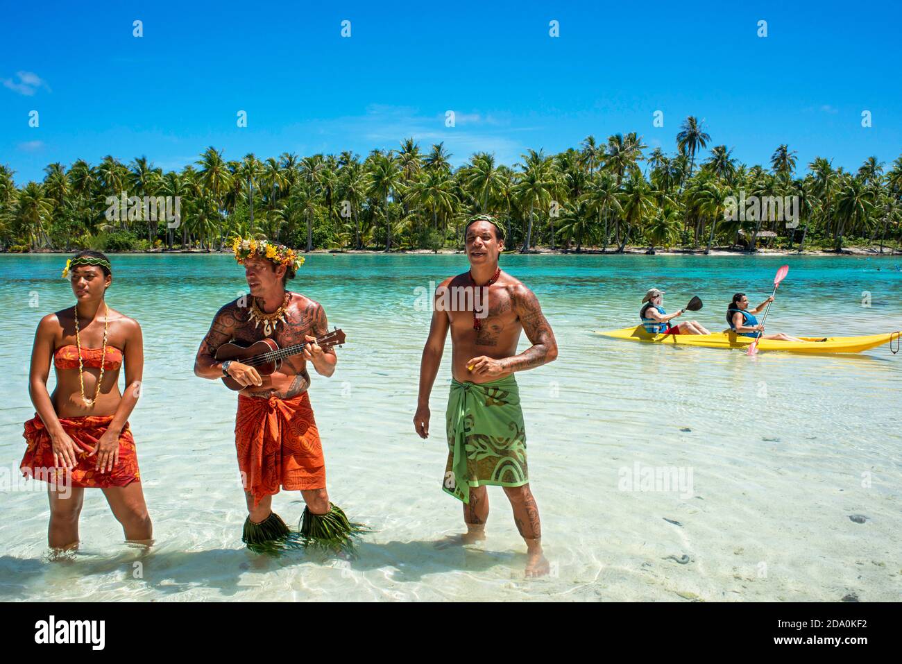 Island of Taha'a, French Polynesia. Polynesian music and dances at the ...