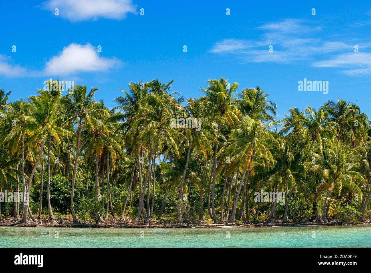 Tropical paradise seascape Taha'a island landscape, French Polynesia ...