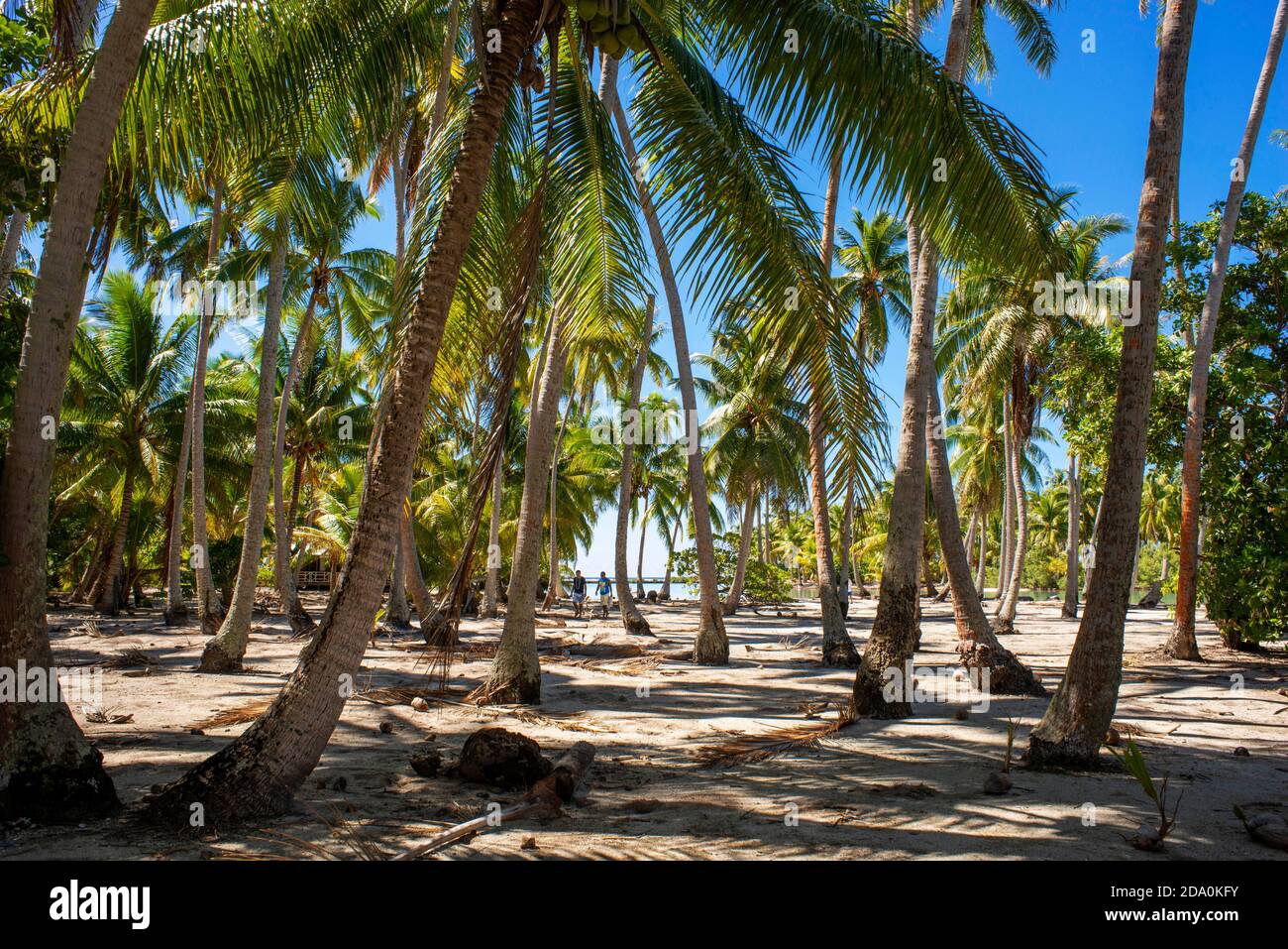 Motu mahana, french polynesia hi-res stock photography and images - Alamy