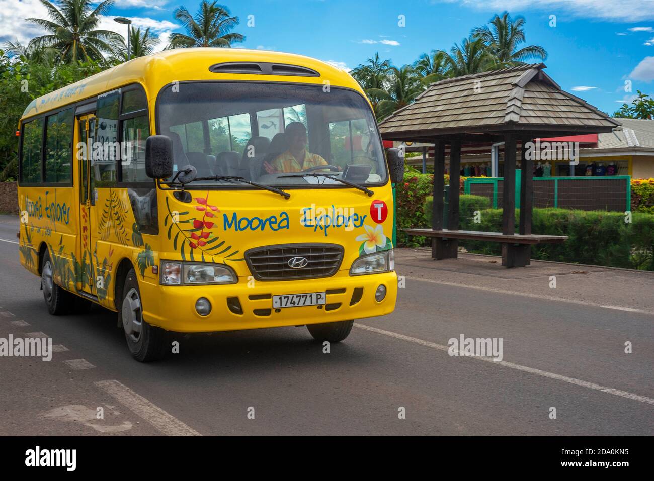 Touristic bus in Moorea, French Polynesia, Society Islands, South ...