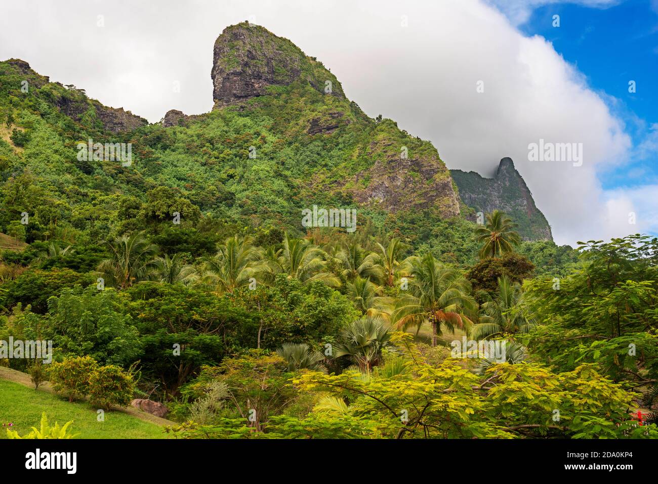 Cook's bay and Paopao valley in Moorea, French Polynesia, Society ...