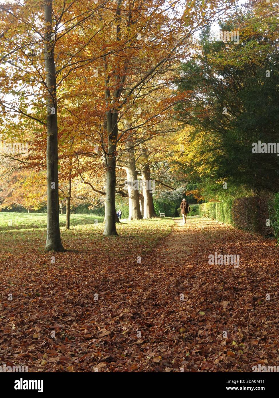 Rousham park hi-res stock photography and images - Alamy