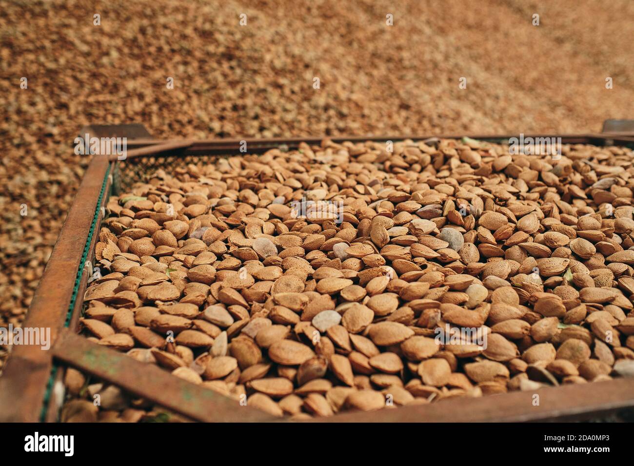 Pile grain in warehouse hi-res stock photography and images - Alamy