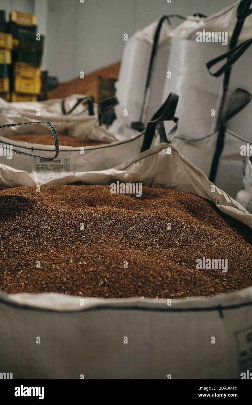 many bags with seeds of fresh wheat stored in warehouse in facility of ...