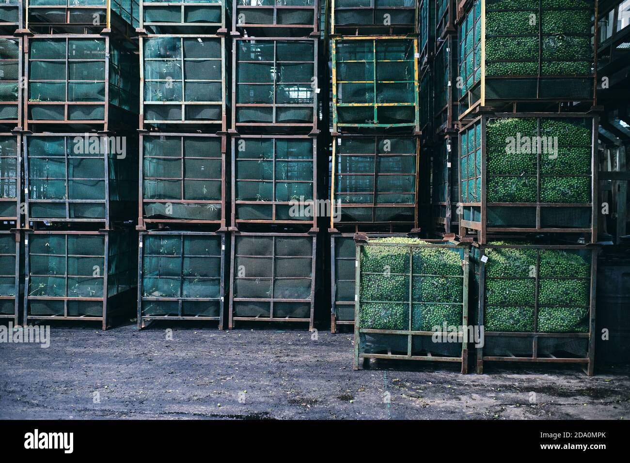 Huge green area hi-res stock photography and images - Alamy