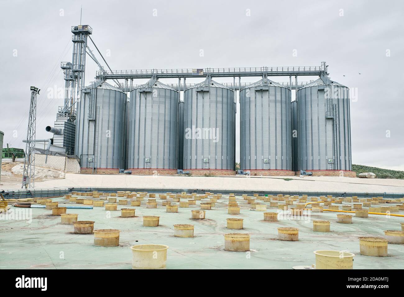 Low angle of huge steel agricultural silo towers located at factory ...