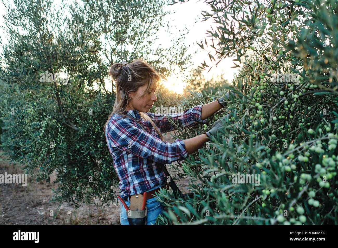 African male in traditional headgear and robe standing against ...