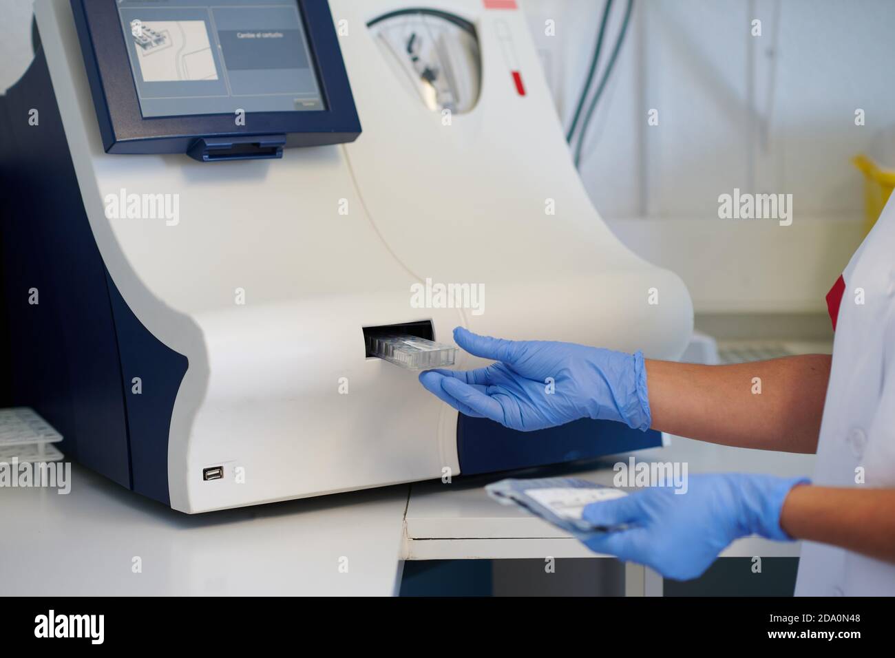 Positive fit ethnic female in activewear doing shoulder exercises on ...