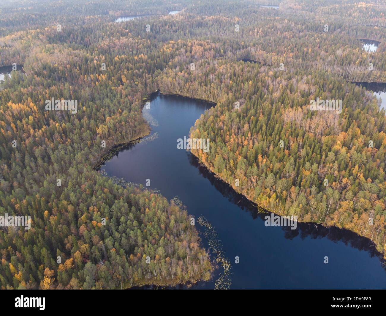 Man-made canal on Solovki. System of lakes and canals. Russia ...