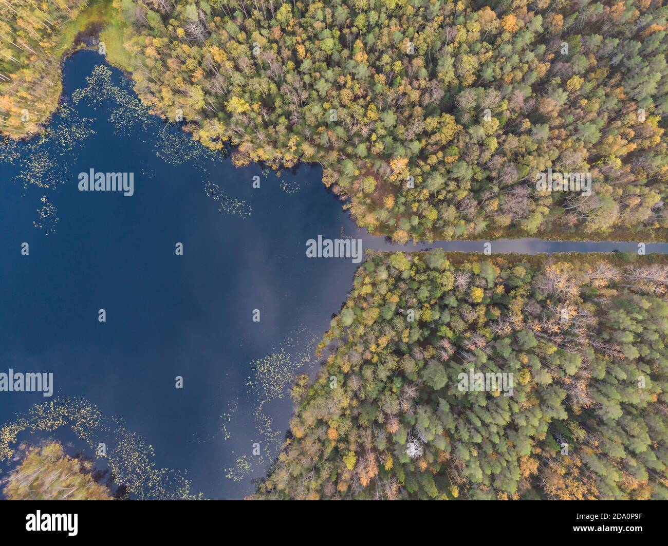 Man-made canal on Solovki. System of lakes and canals. Russia ...
