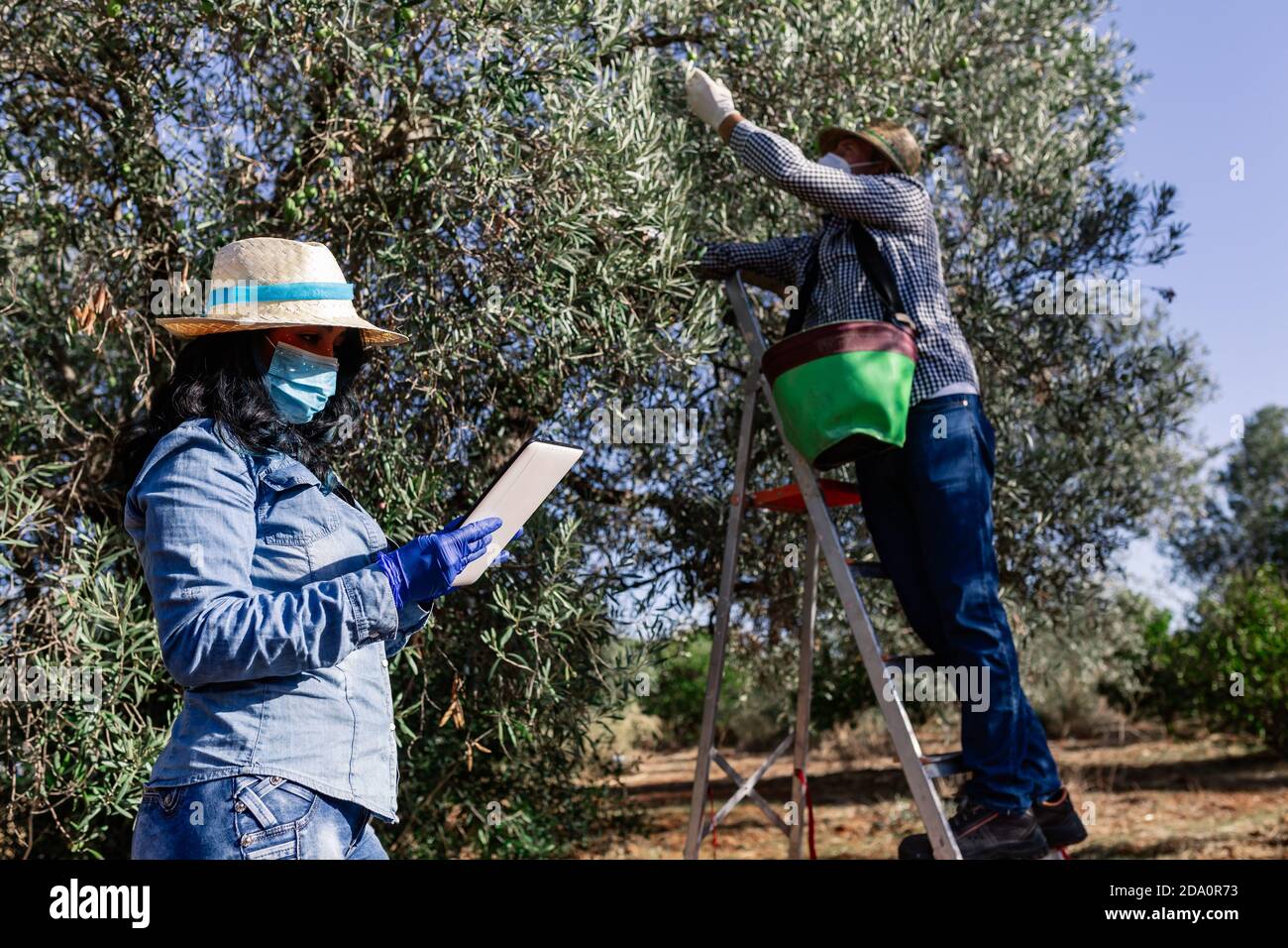 Farm workers harvest mask hi-res stock photography and images - Alamy