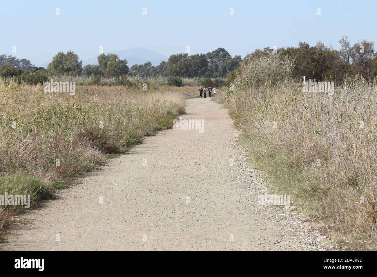 Pathway through landscape of Guadalhorce river estuary nature reserve ...