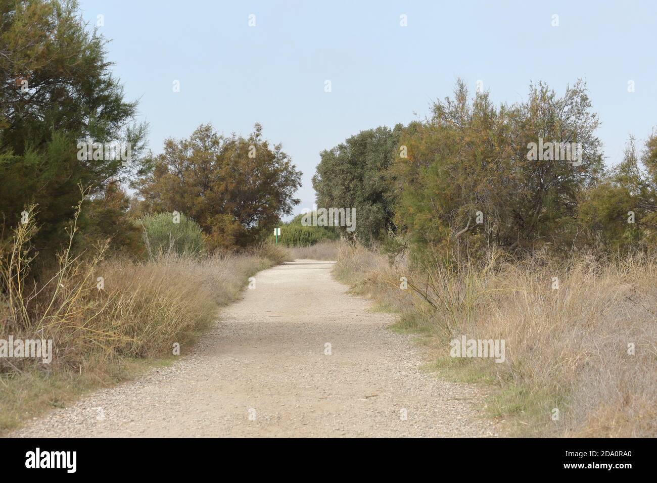 Pathway through landscape of Guadalhorce river estuary nature reserve ...