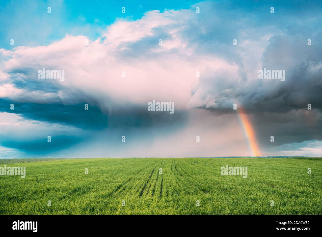 Countryside Rural Field Meadow Landscape In Summer Cloudy Day. Scenic ...