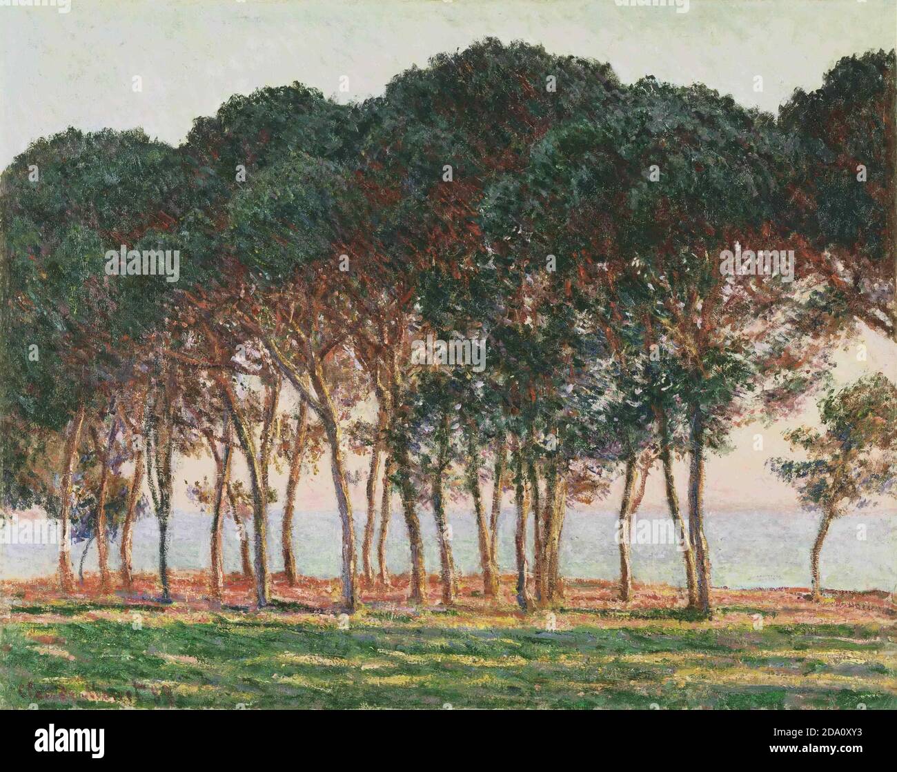 Claude Monet, French, 1840-1926 -- Under the Pines, Evening. 1888 Stock ...