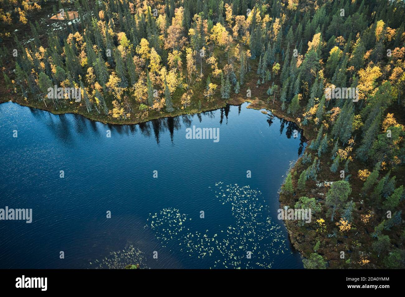 Drone view of magnificent scenery of peninsula with colorful plants and ...