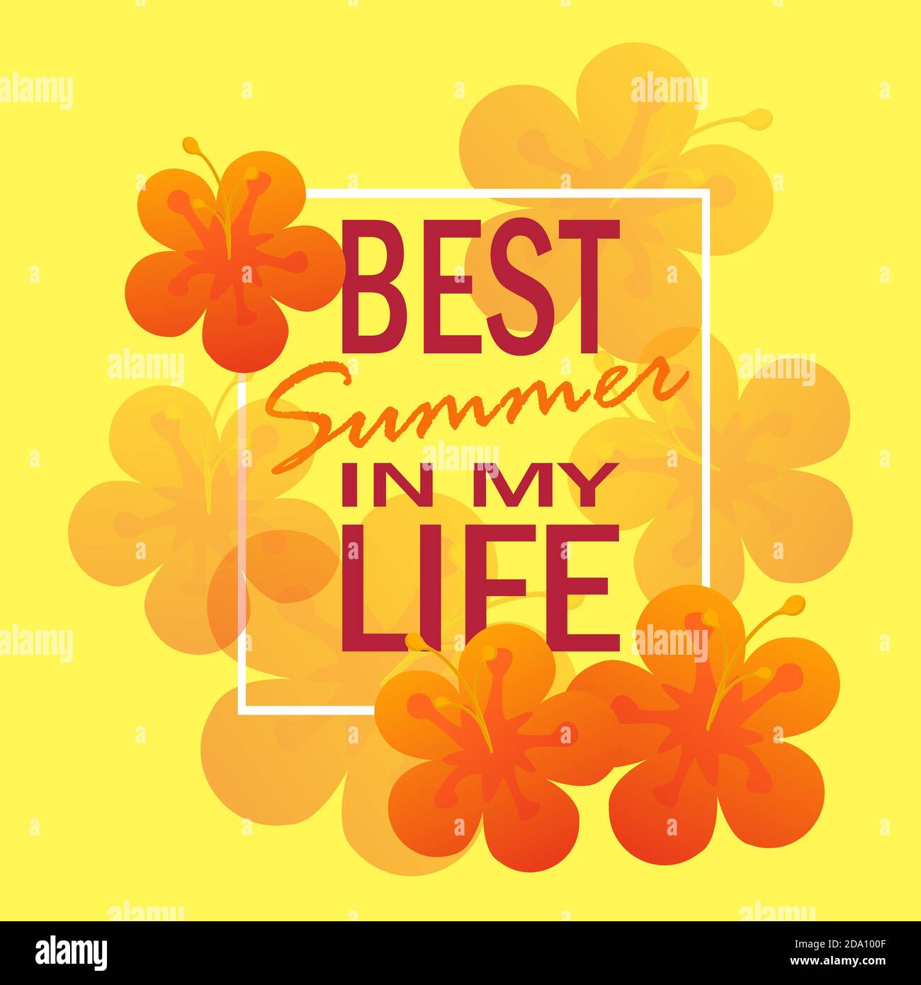 Vector illustration summer banner with floral pattern and words in a ...