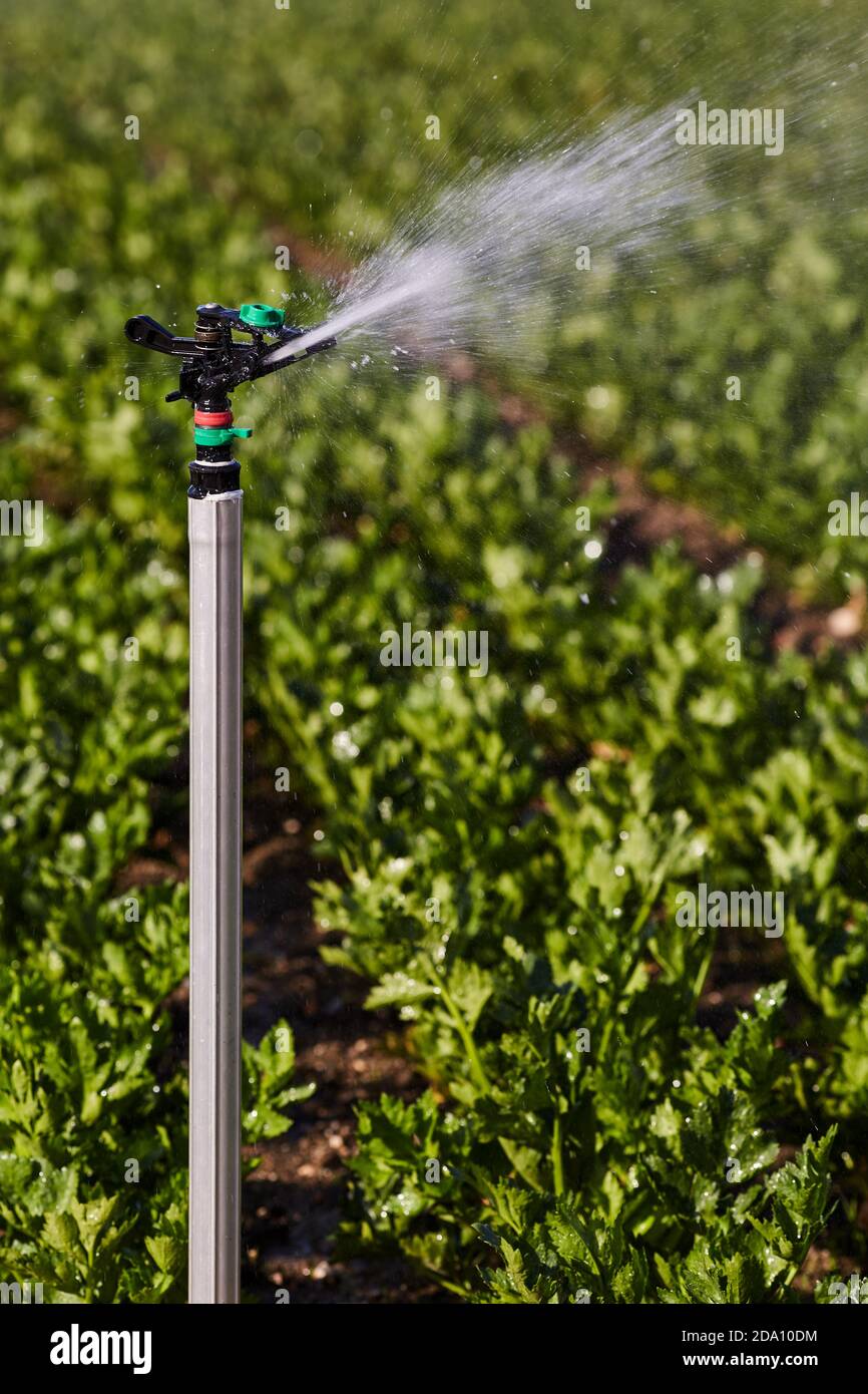 Modern Irrigation High Resolution Stock Photography and Images - Alamy