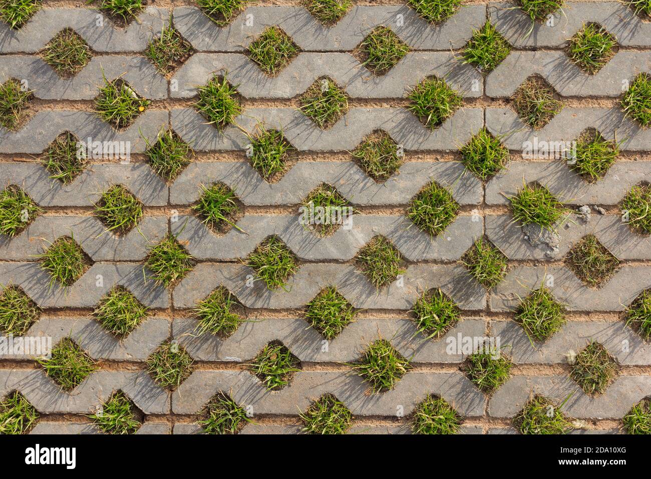 Decorative paving tile. Part of urban street covered with gray concrete ...