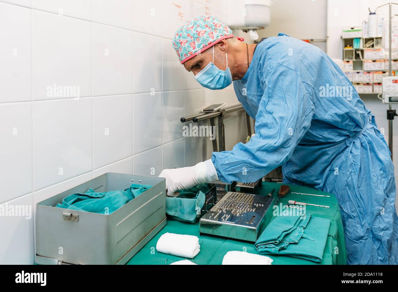 Veterinarian surgeon preparing tools for surgery before operation on a ...