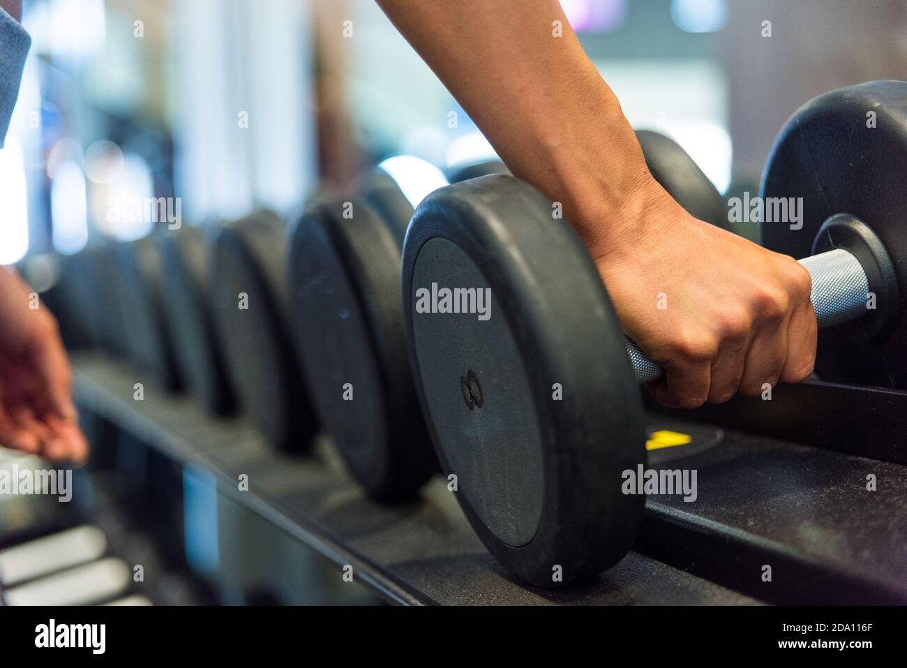 Side view of charming athletic ethnic female taking heavy dumbbell for ...