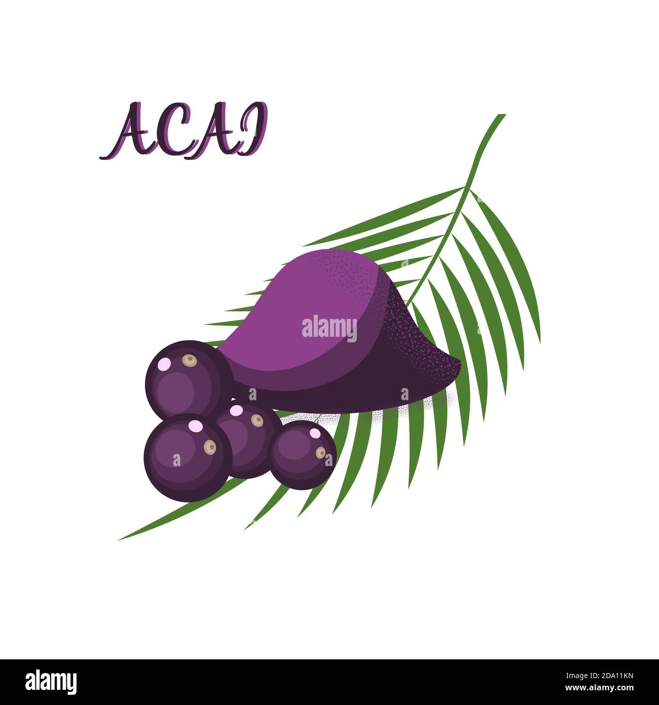 Acai powder Stock Vector Images - Alamy
