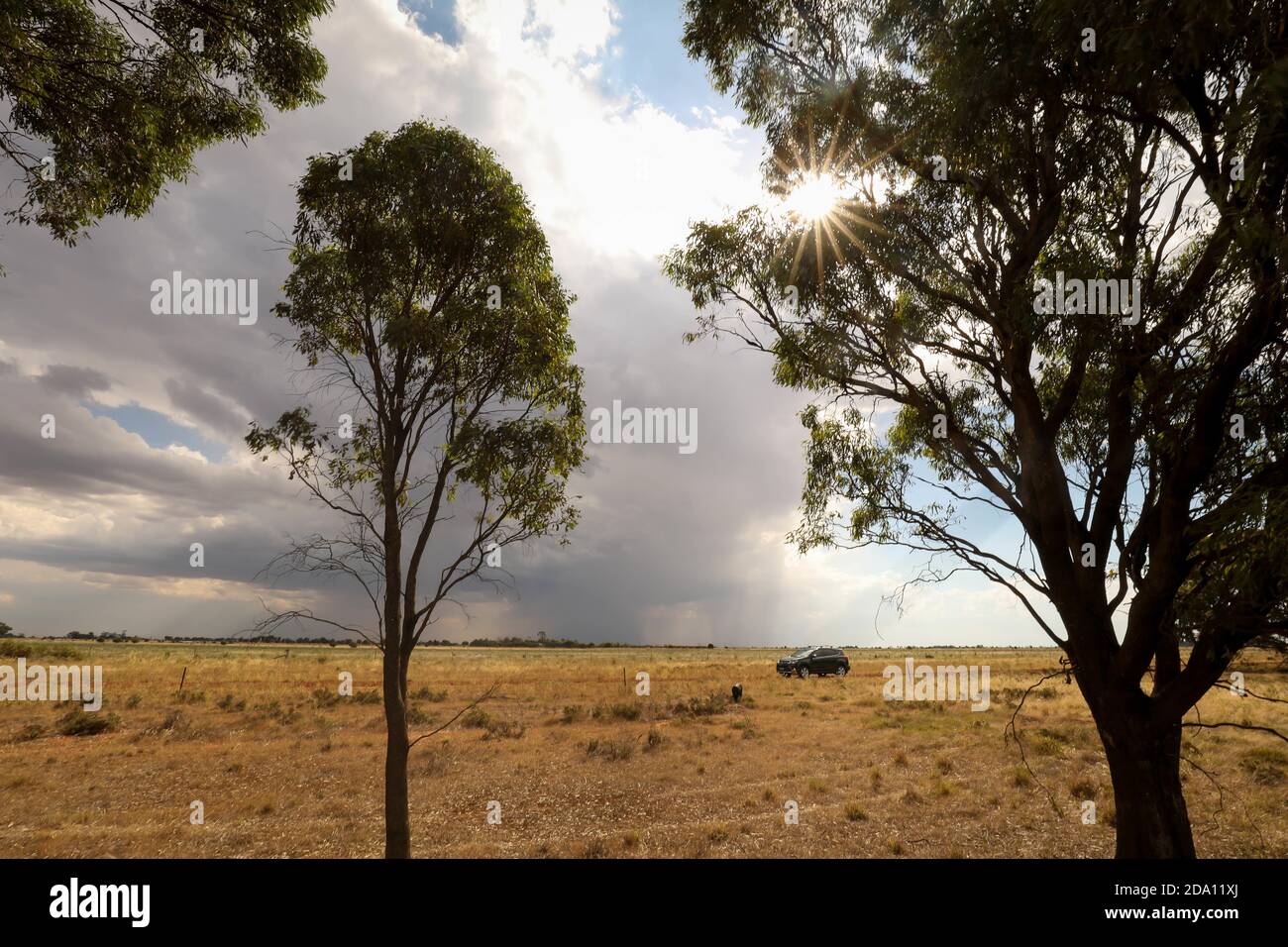 Dry field under cloudy sky Stock Photo - Alamy