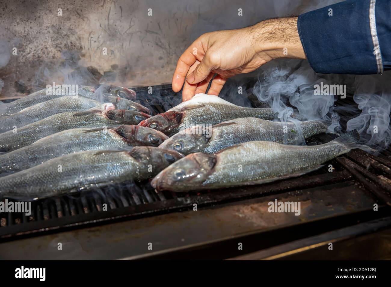 Grilled sea bass fish closeup. In process. European sea-bass, chef is ...