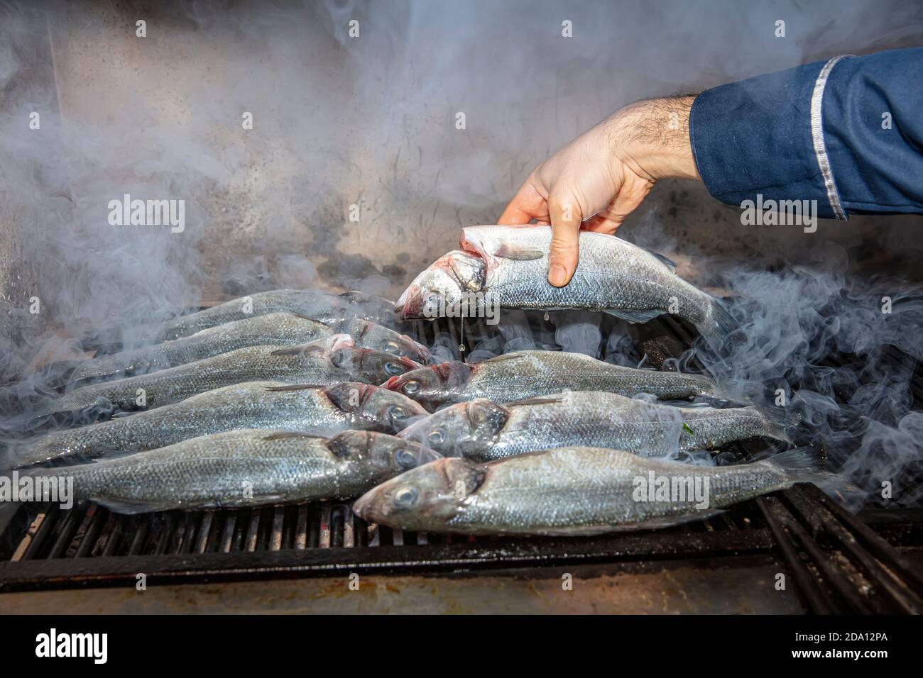 Grilled sea bass fish closeup. In process. European sea-bass, chef is ...