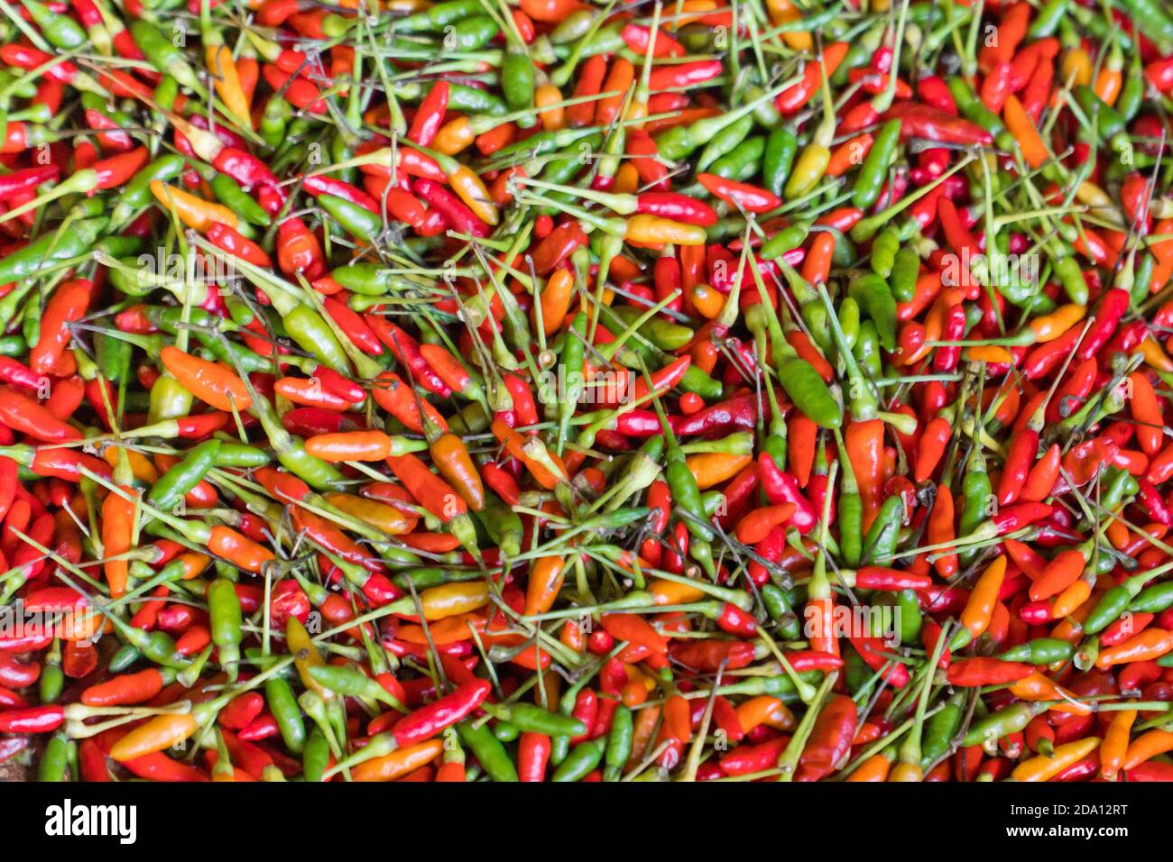 Green chilli wallpaper hi-res stock photography and images - Alamy