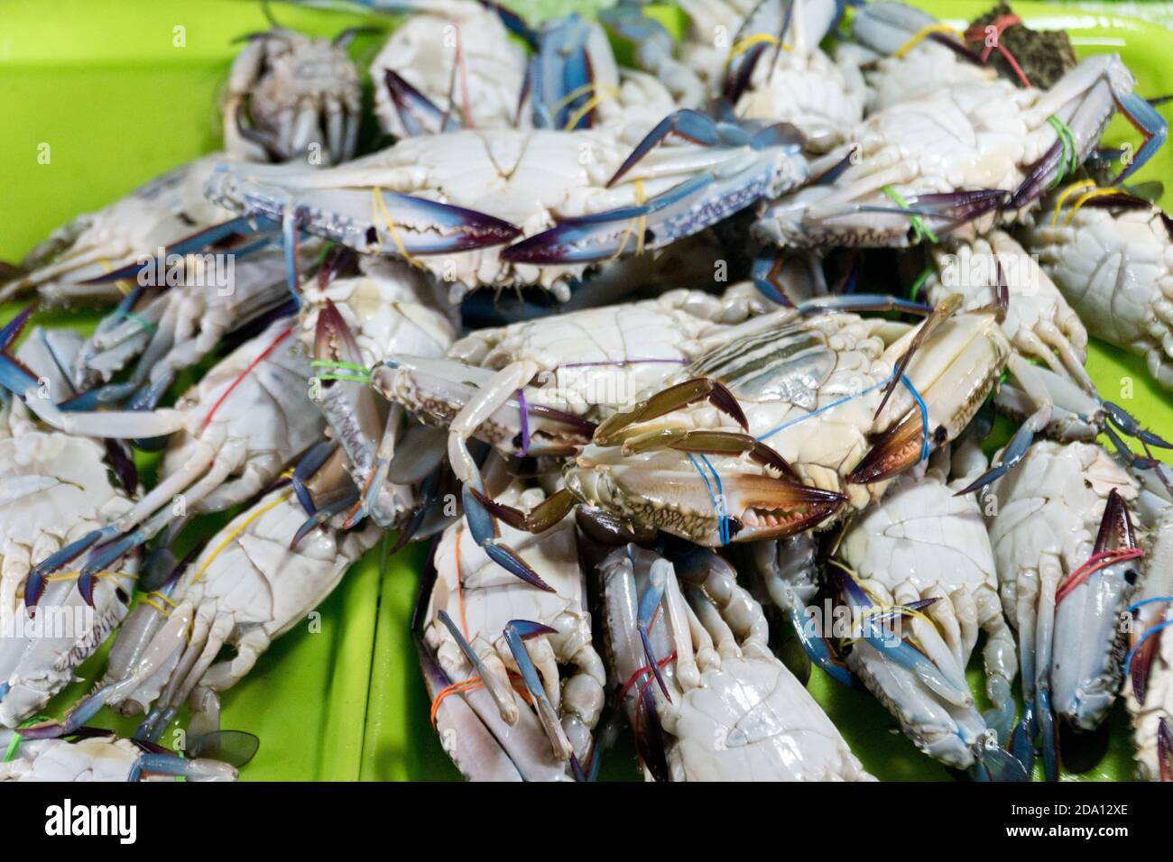 Crabs on the counter. Fresh crabs on counter in a fish store Stock ...