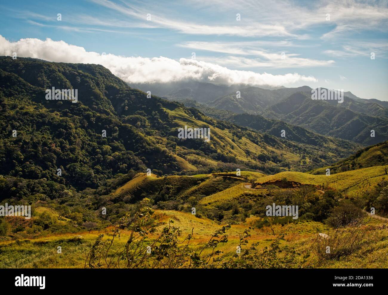 Monte verde cloud forest hi-res stock photography and images - Alamy