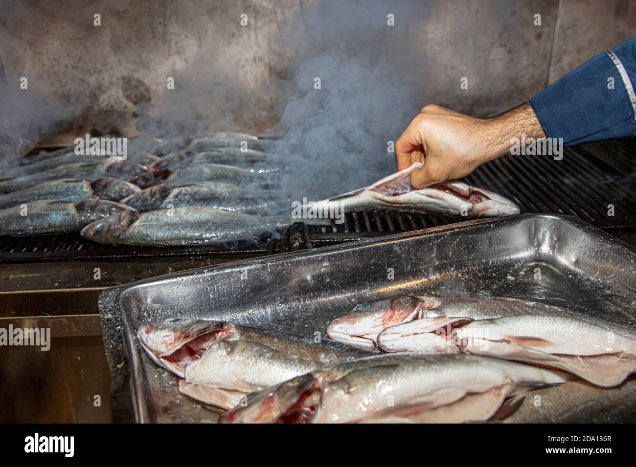 Levrek hi-res stock photography and images - Alamy