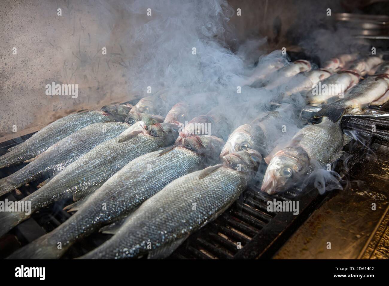 Grilled sea bass fish closeup. In process. European sea-bass, chef is ...