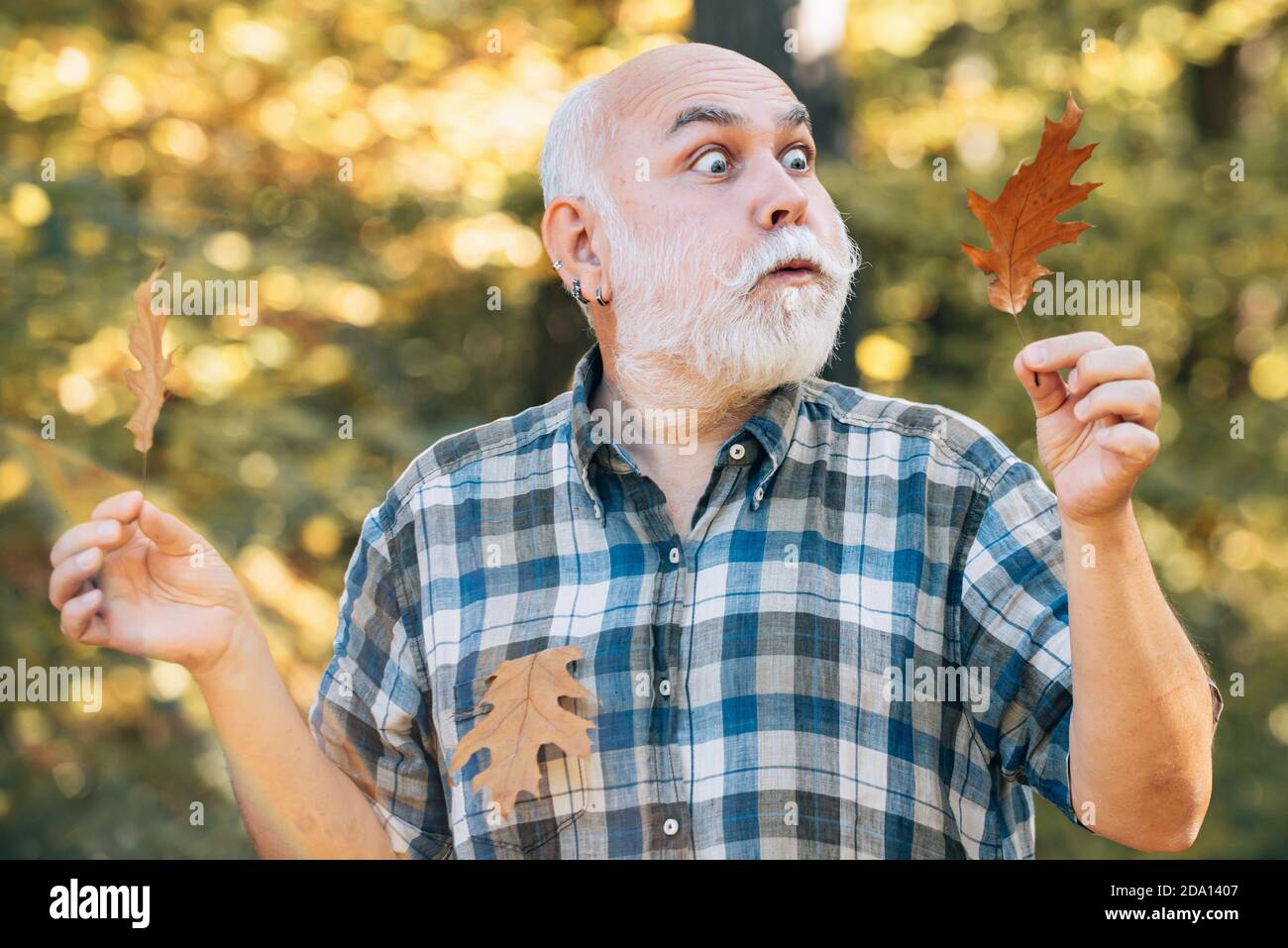 Elderly man smiling outdoors in nature. Portrait of a senior man ...