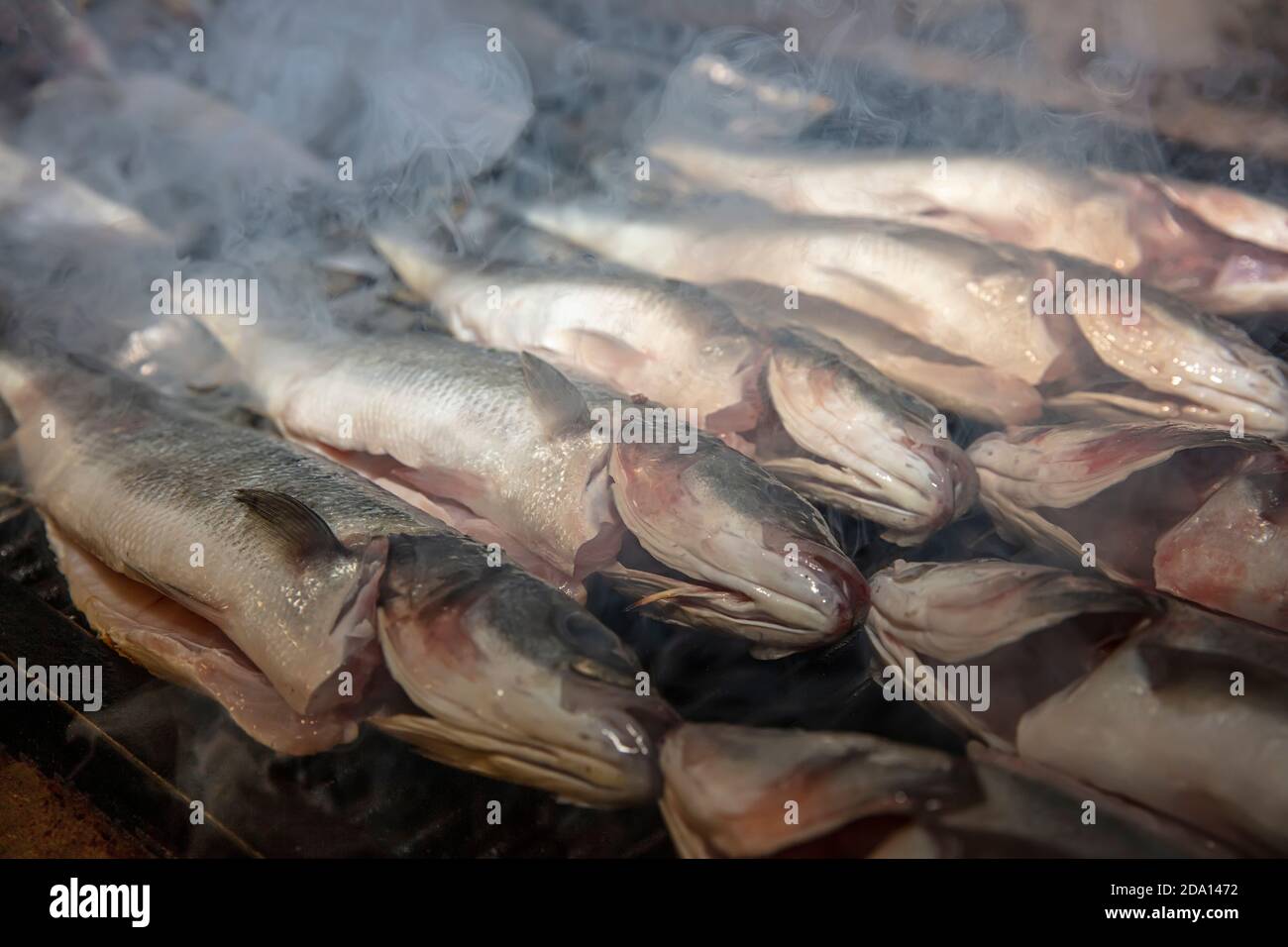 Grilled sea bass fish closeup. In process. European sea-bass, chef is ...