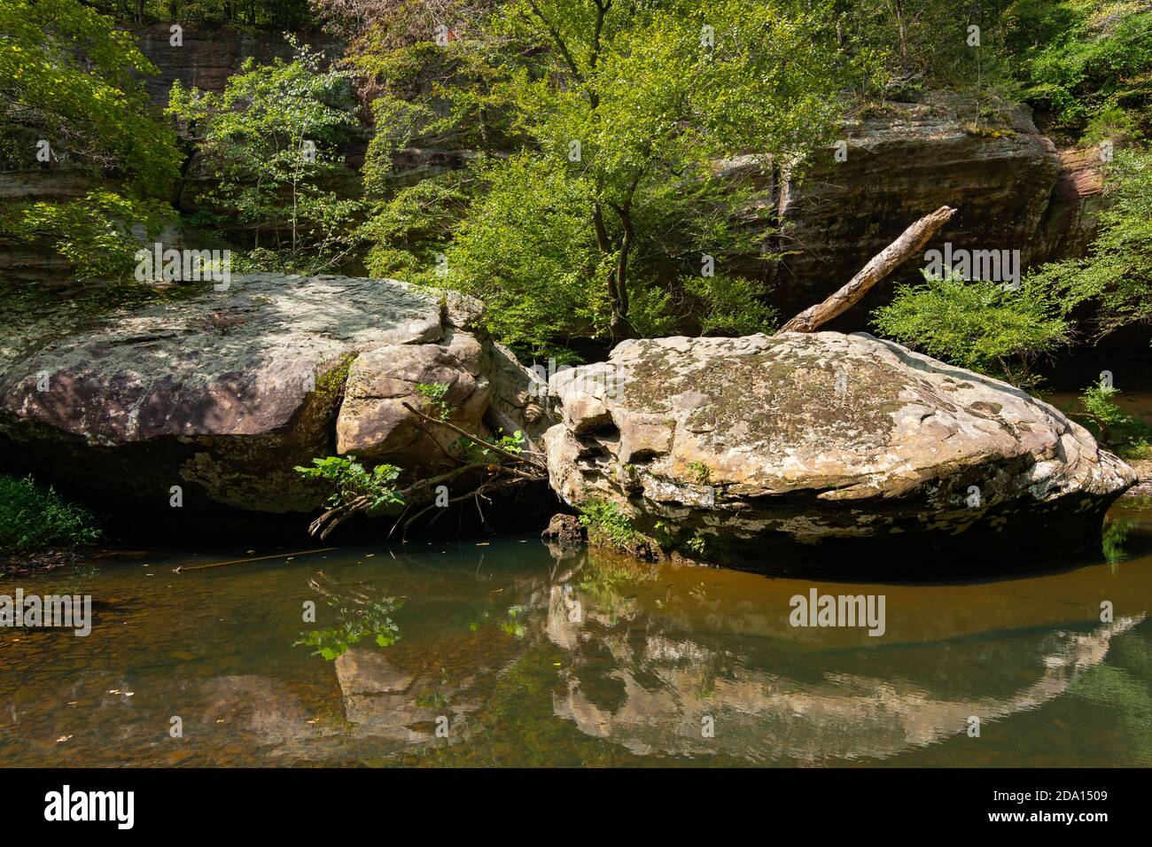 Landscape along the hiking trail at Bell Smith Springs. Shawnee ...