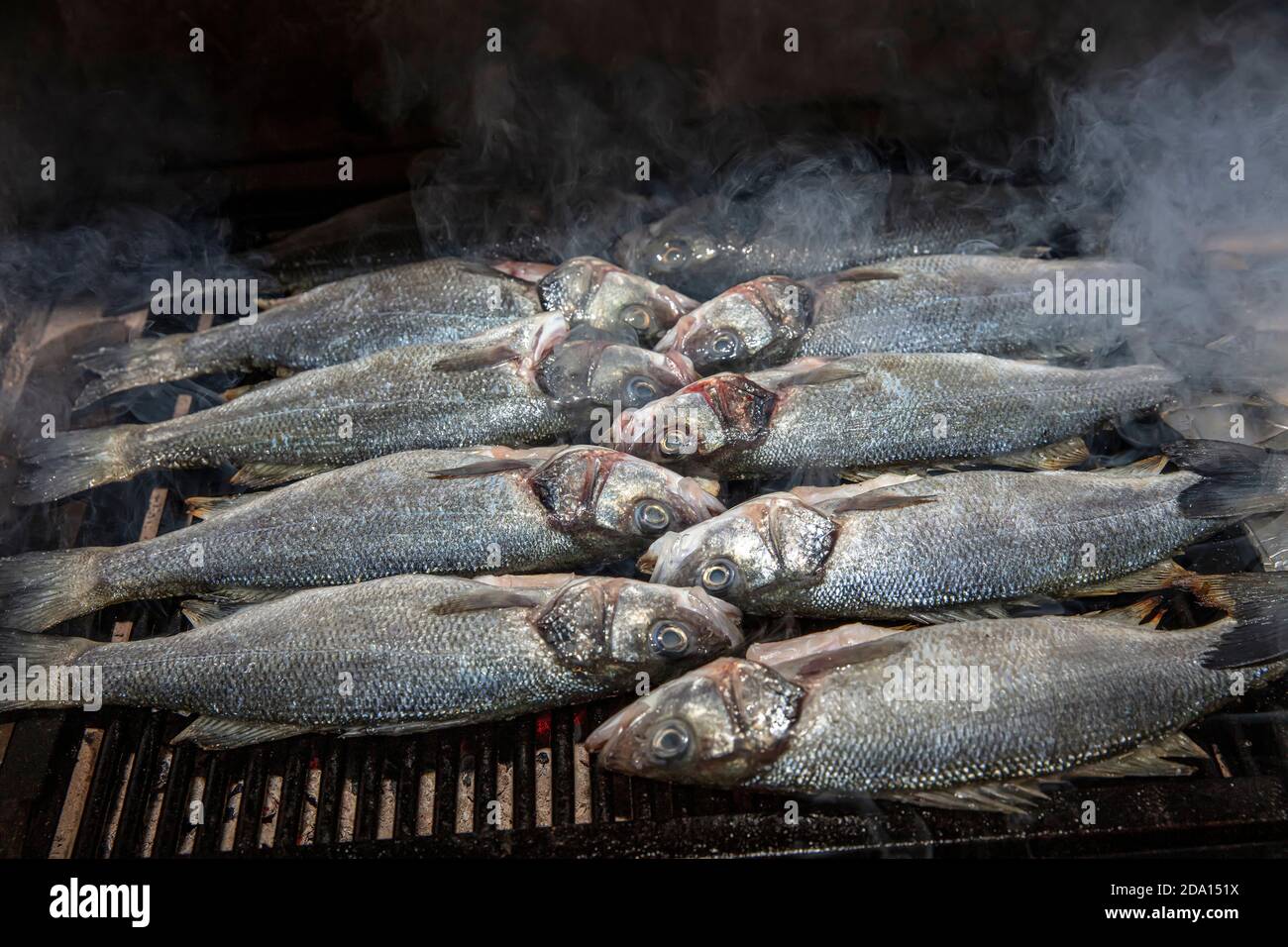 Grilled sea bass fish closeup. In process. European sea-bass, chef is ...