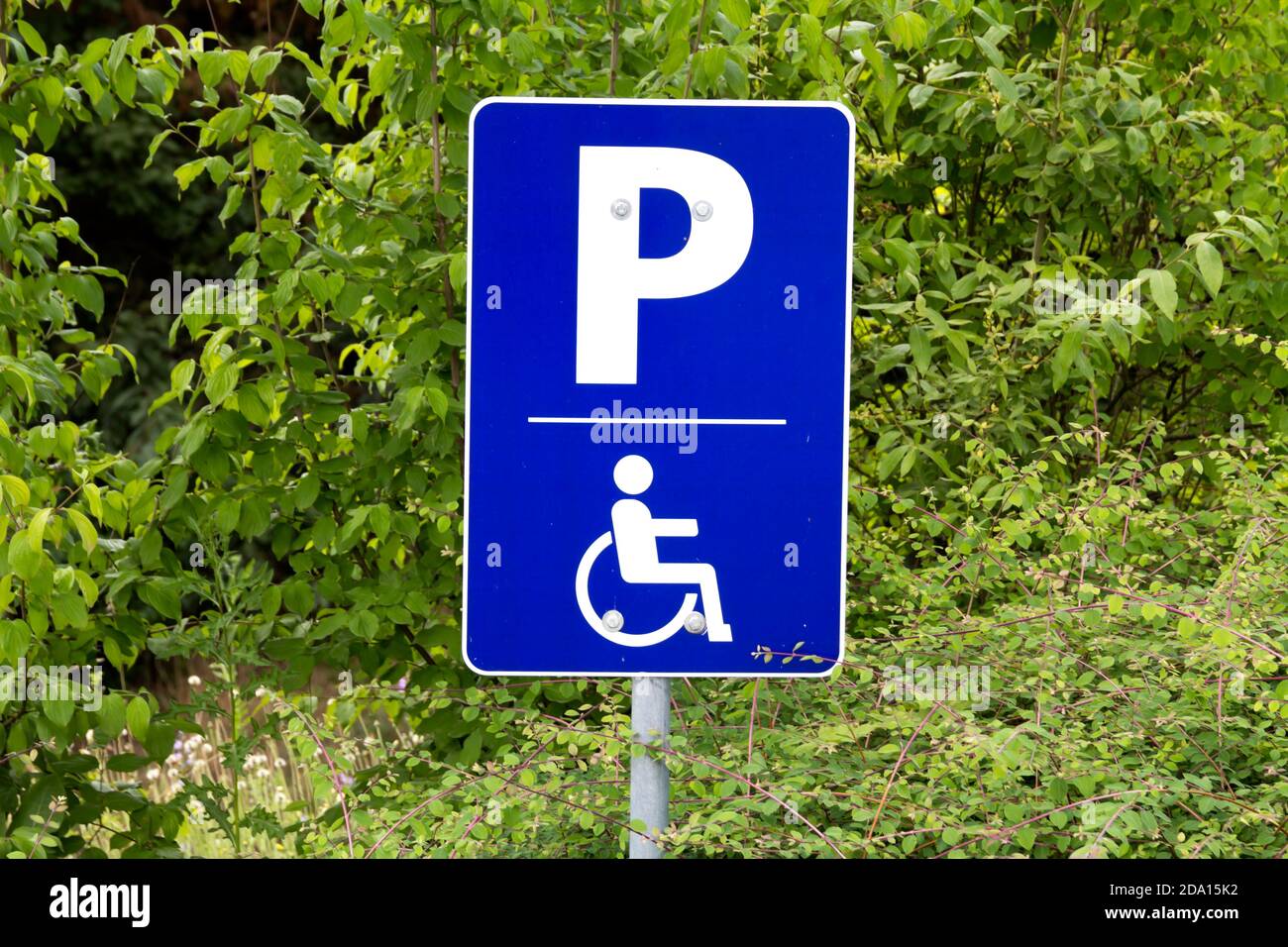 a signpost marking a parking area especially for women with babies ...