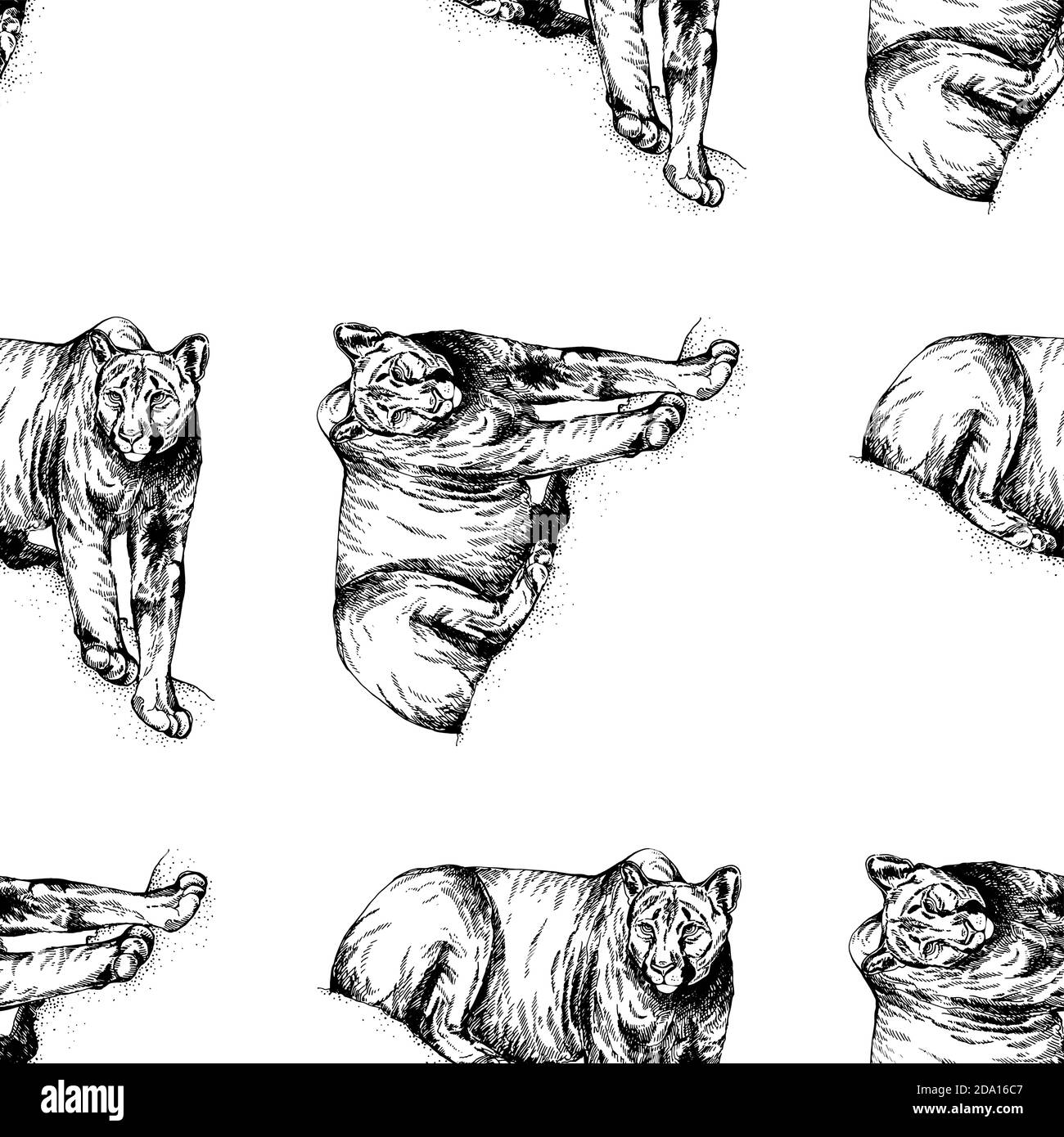Seamless pattern hand drawn sketch style pumas isolated on white ...