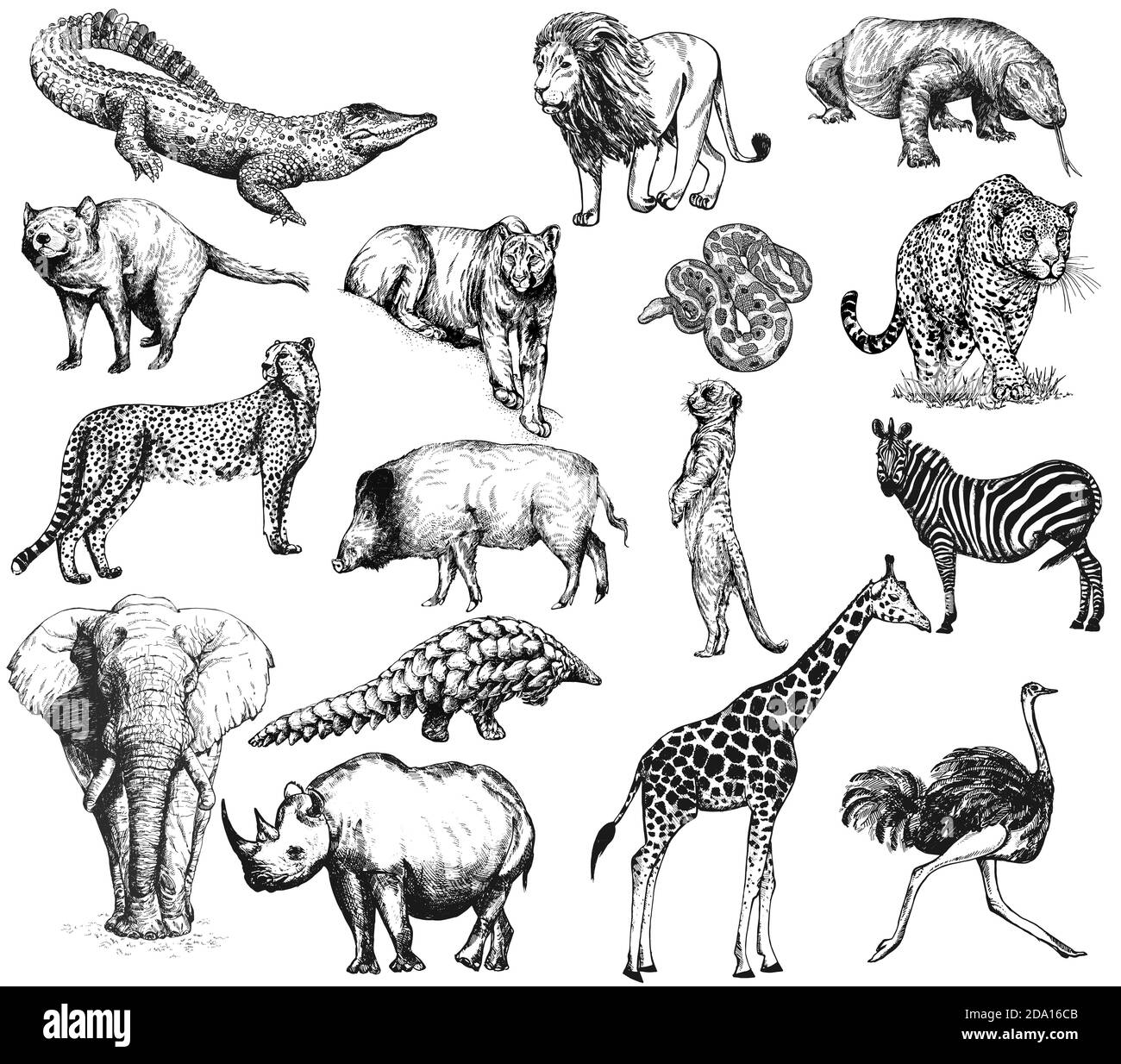 Big set of hand drawn sketch style animals isolated on white background ...