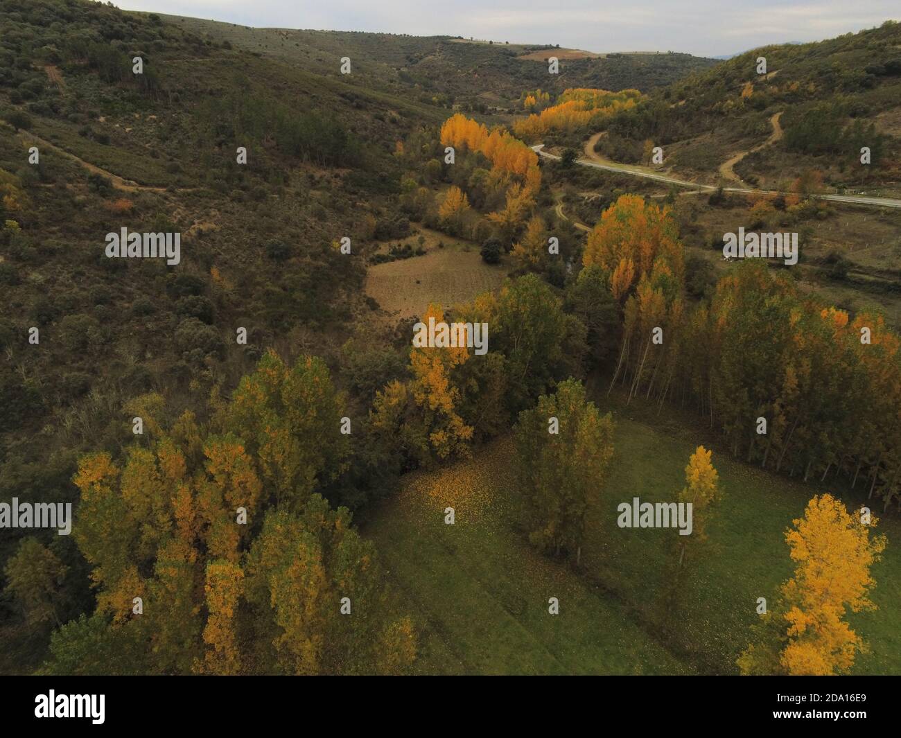 Aerial view of vibrant autumn trees Stock Photo - Alamy