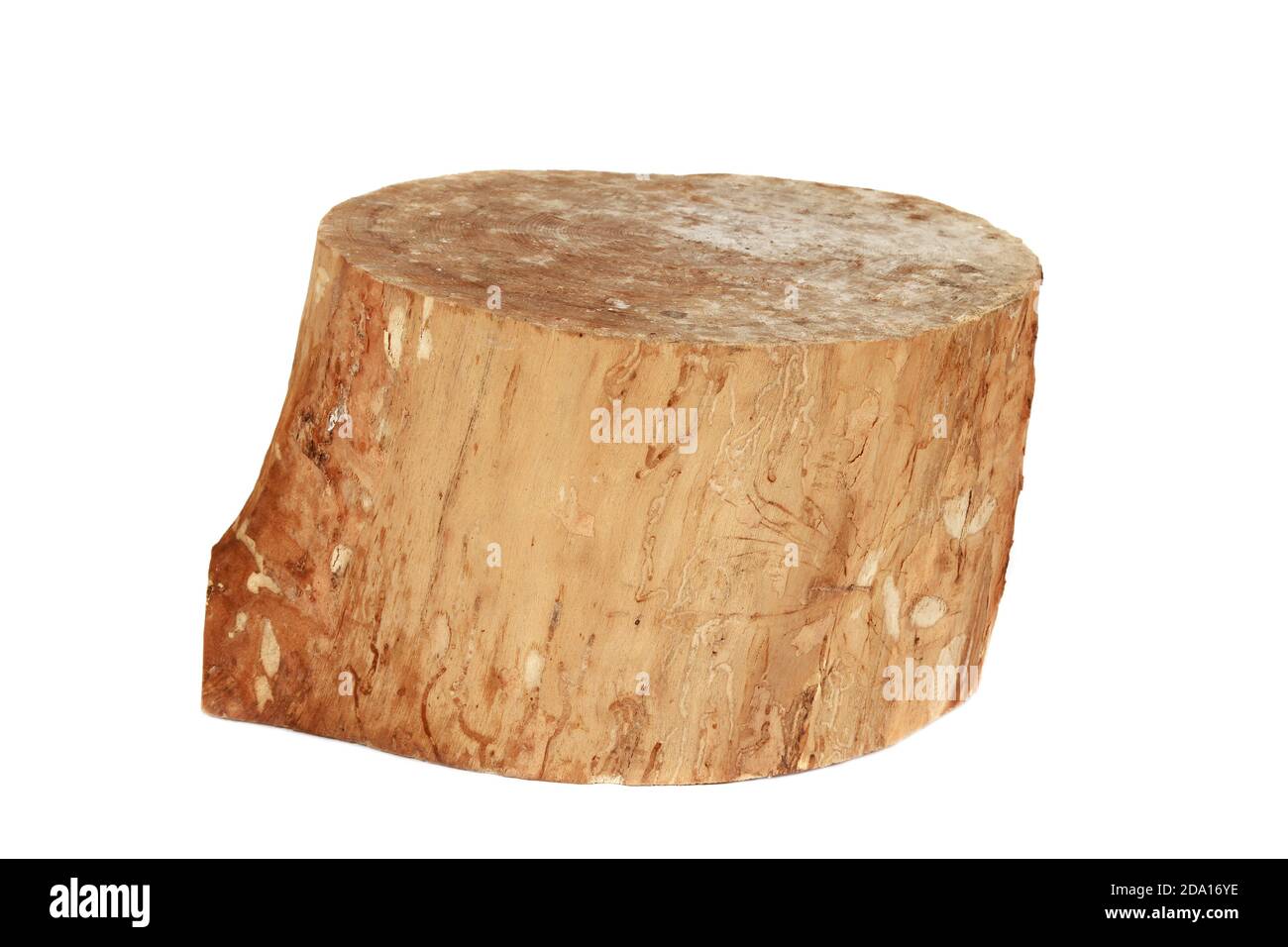 Cut tree trunk isolated on a white background Stock Photo - Alamy