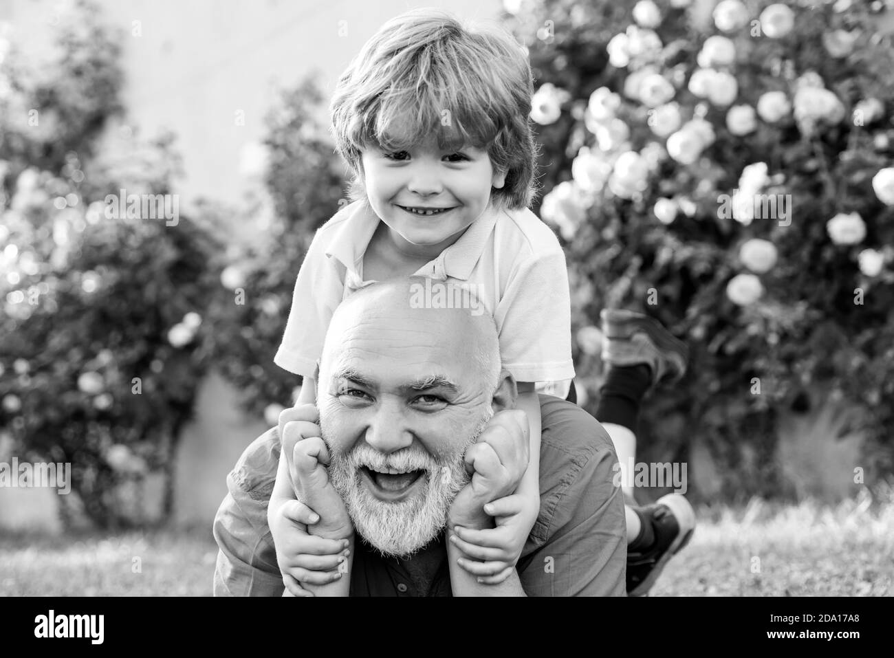 Grandfather Carrying His Grandson Having Fun In The Park At The Sunset